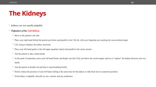 Abdominal examination for C1 medical students | PPT