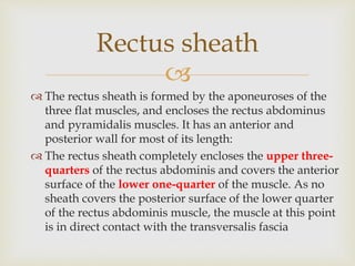 Abdominal hernia | PPTX
