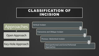 Abdominal Incision.pdf