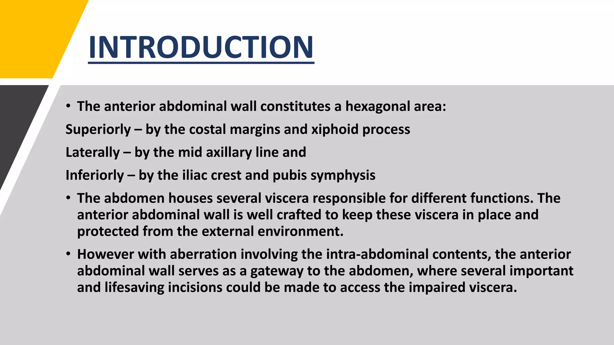 SURGICAL INCISIONS ON ABDOMINAL WALL | PDF
