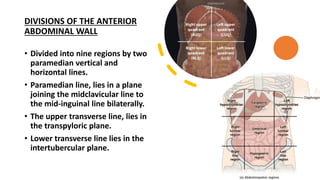 SURGICAL INCISIONS ON ABDOMINAL WALL | PDF