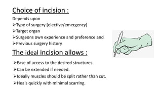 SURGICAL INCISIONS ON ABDOMINAL WALL | PDF