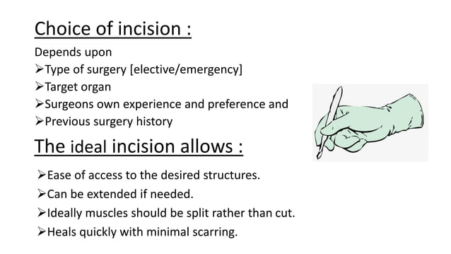SURGICAL INCISIONS ON ABDOMINAL WALL | PDF