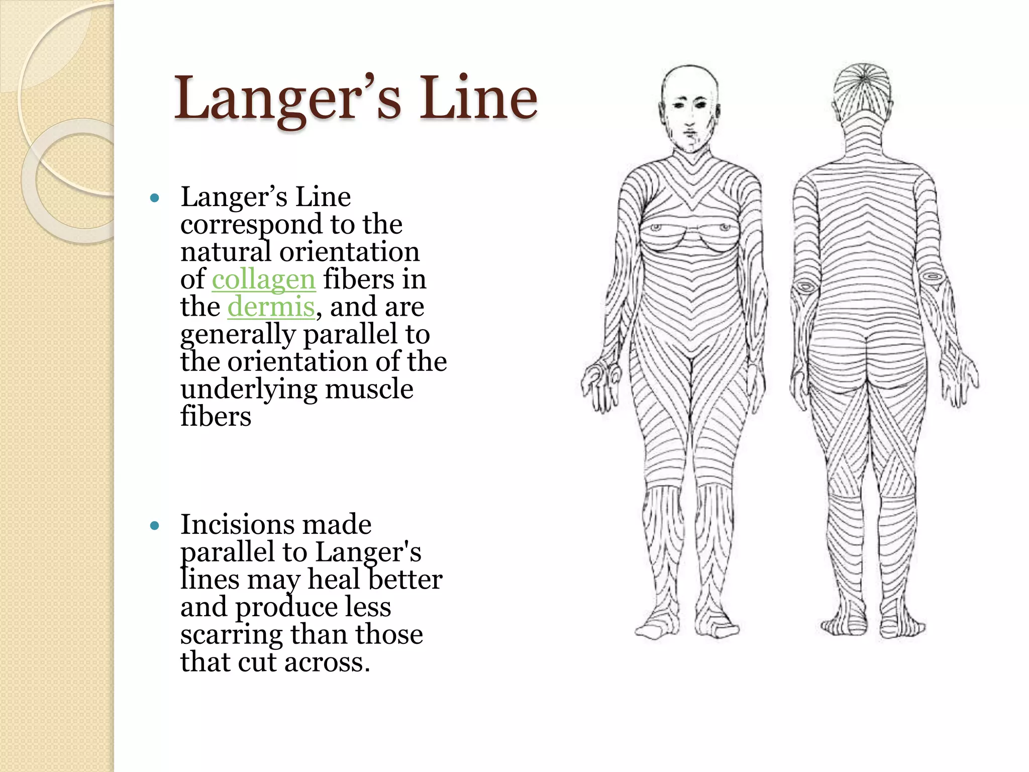 Abdominal incisions | PPTX