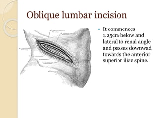 Abdominal incisions | PPT