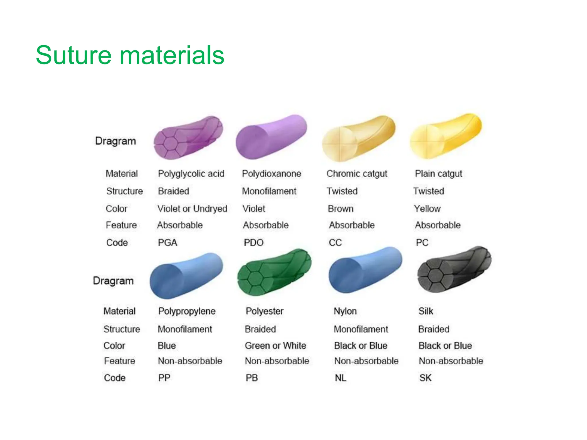 abdominal incisions wall anatomy and other | PPT