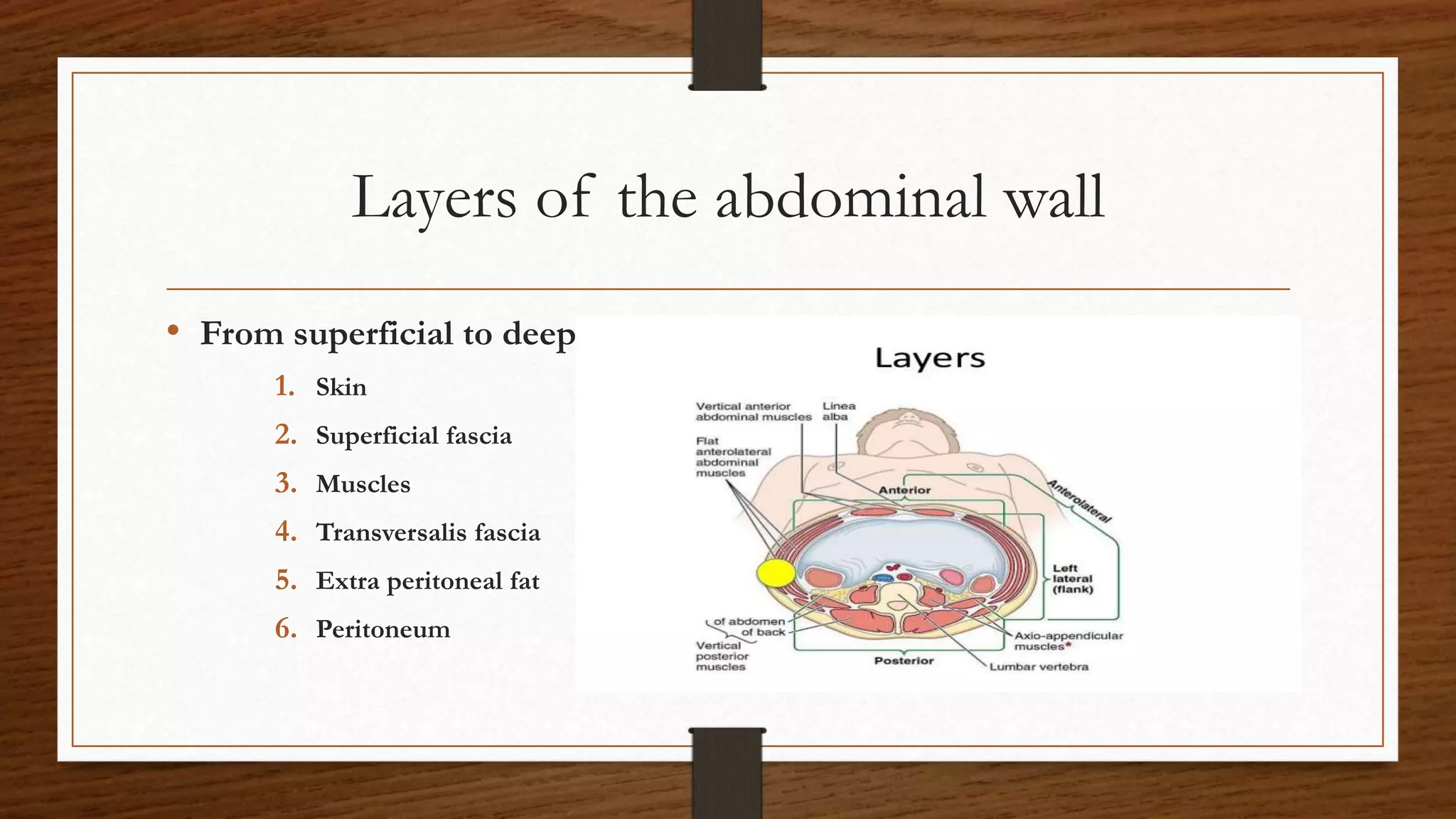 Abdominal incisions | PPTX