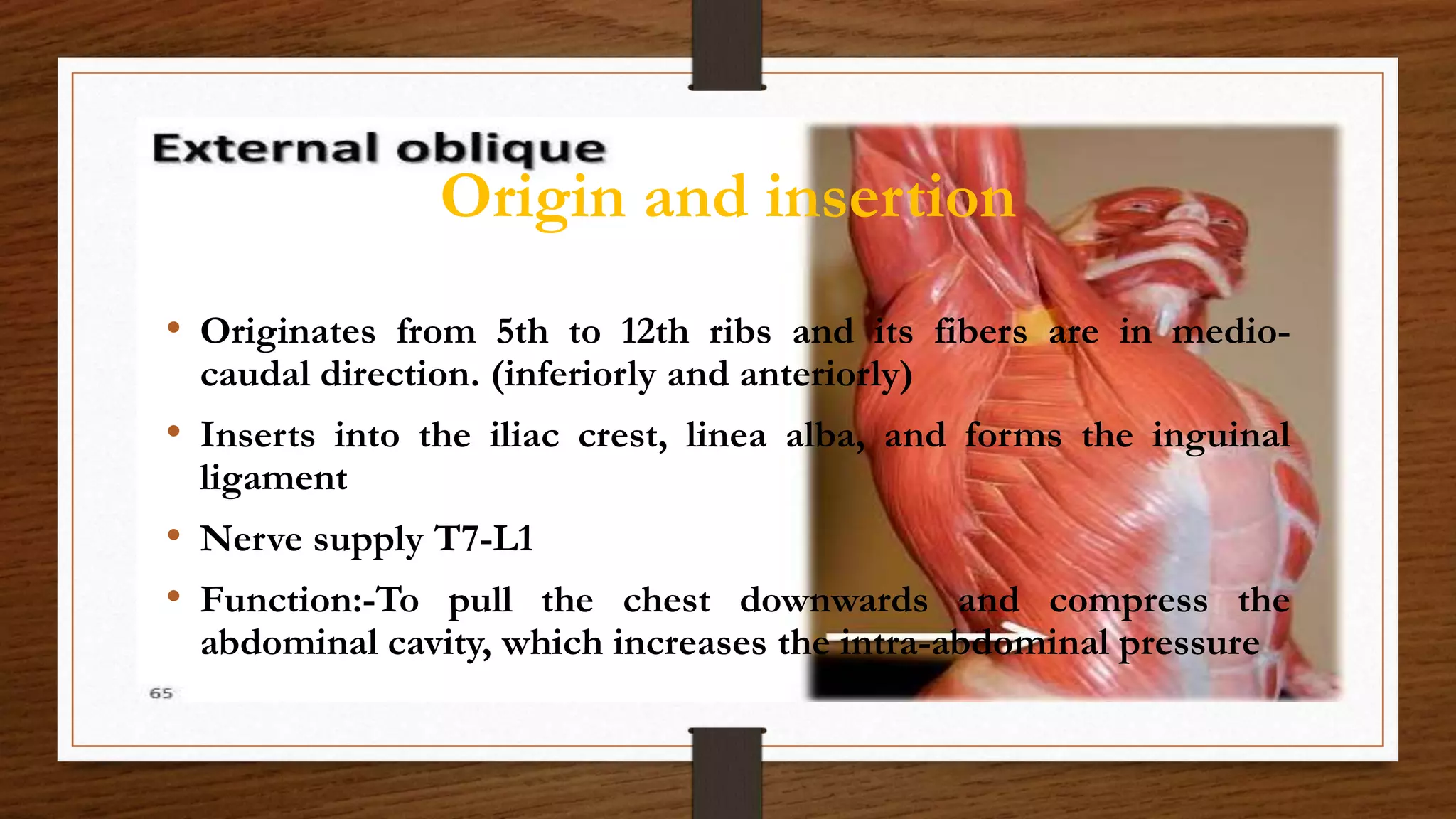 Abdominal incisions | PPTX