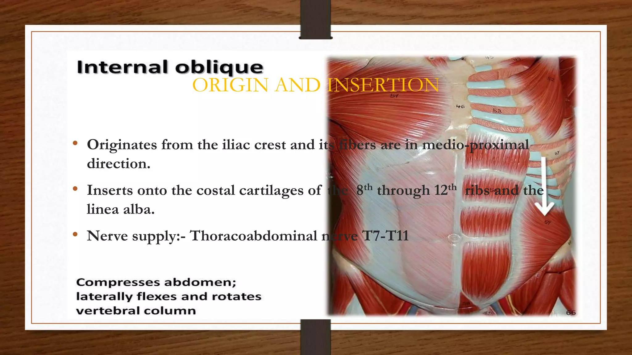 Abdominal incisions | PPTX