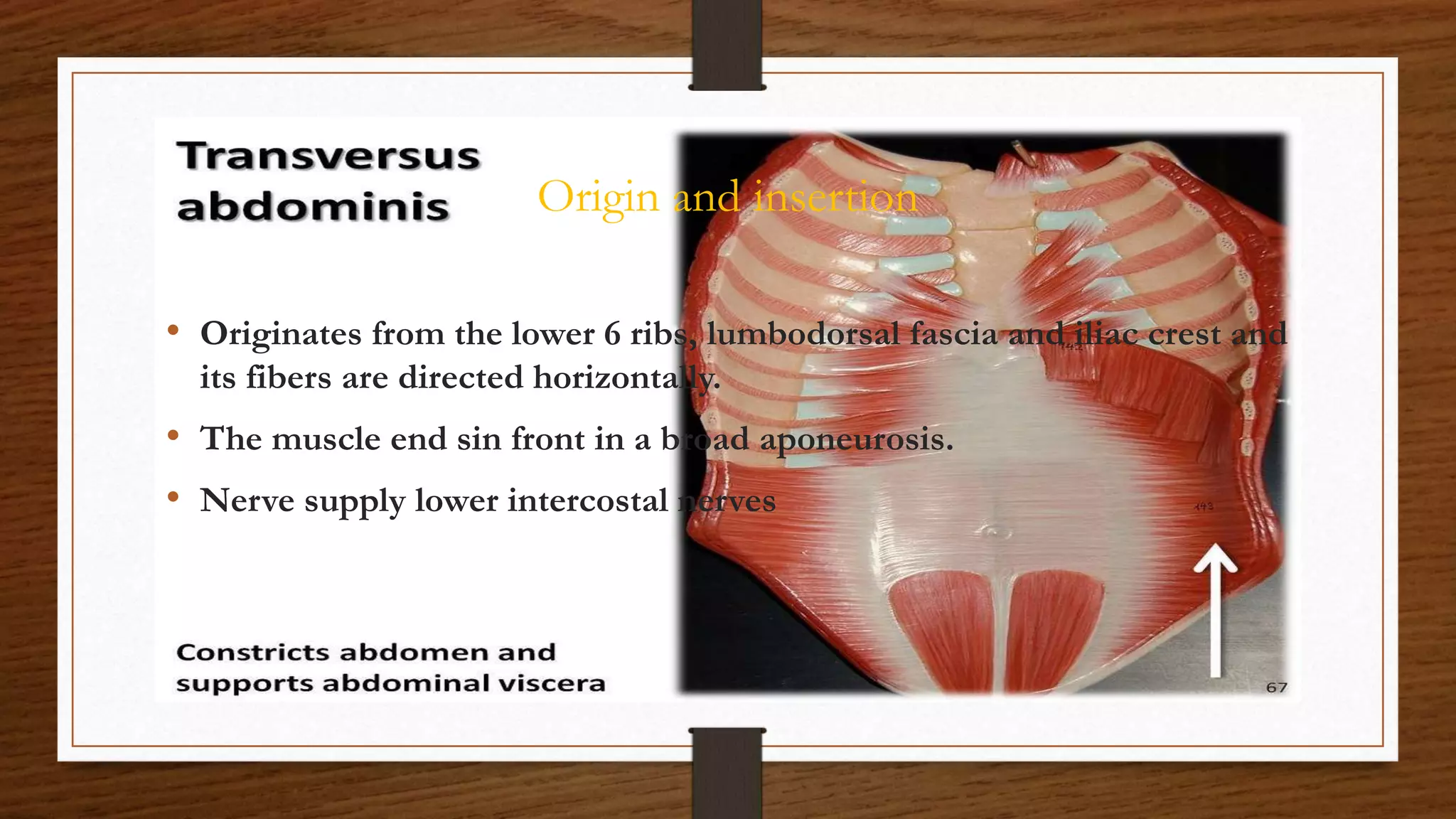 Abdominal incisions | PPTX