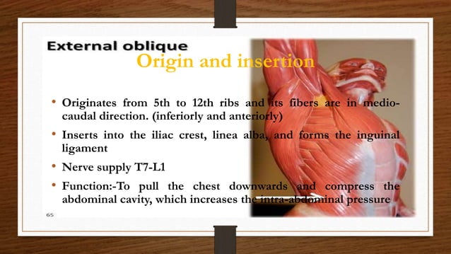 Abdominal incisions | PPT
