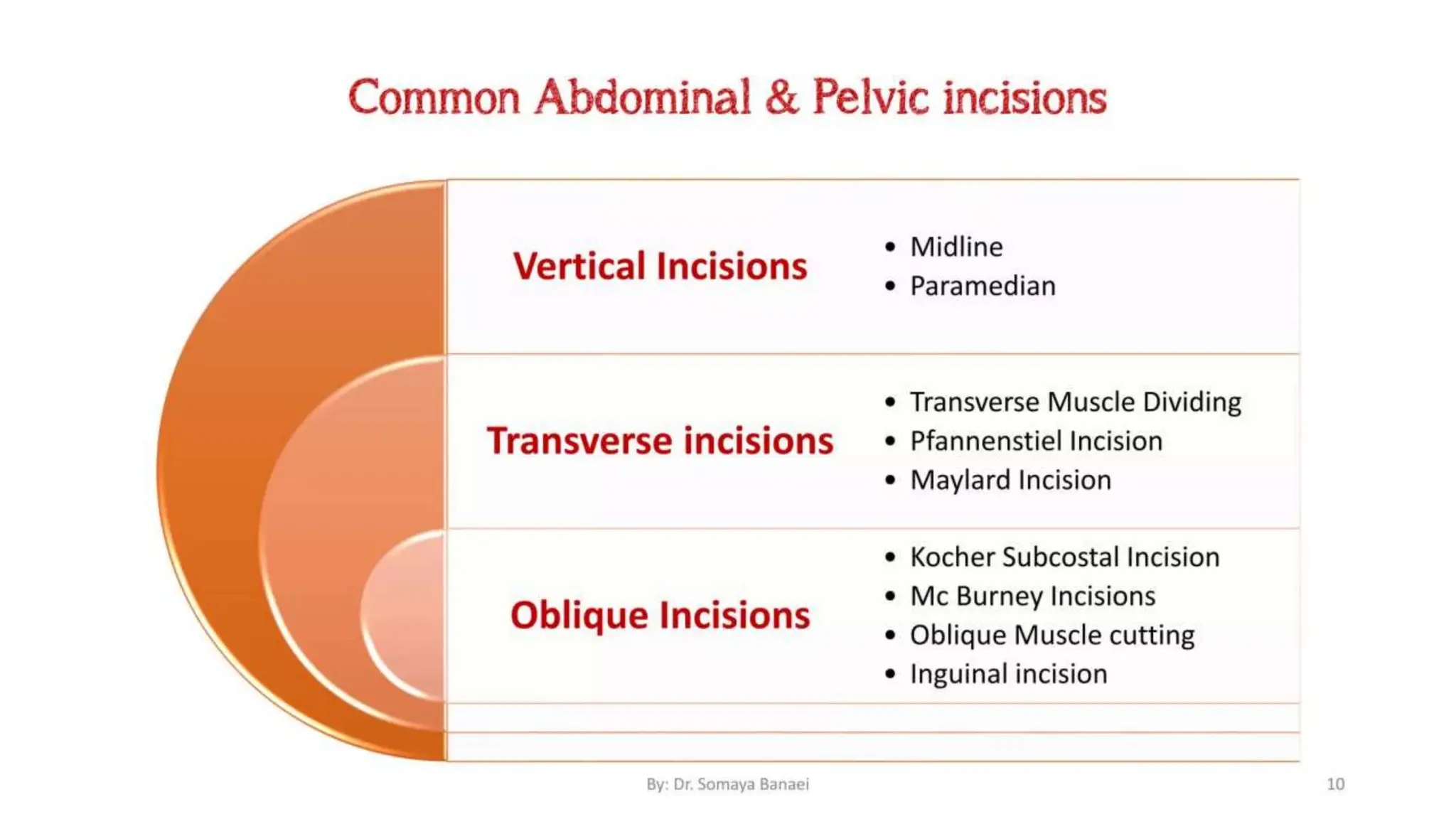 Abdominal Incisions for medical students | PPT | Free Download