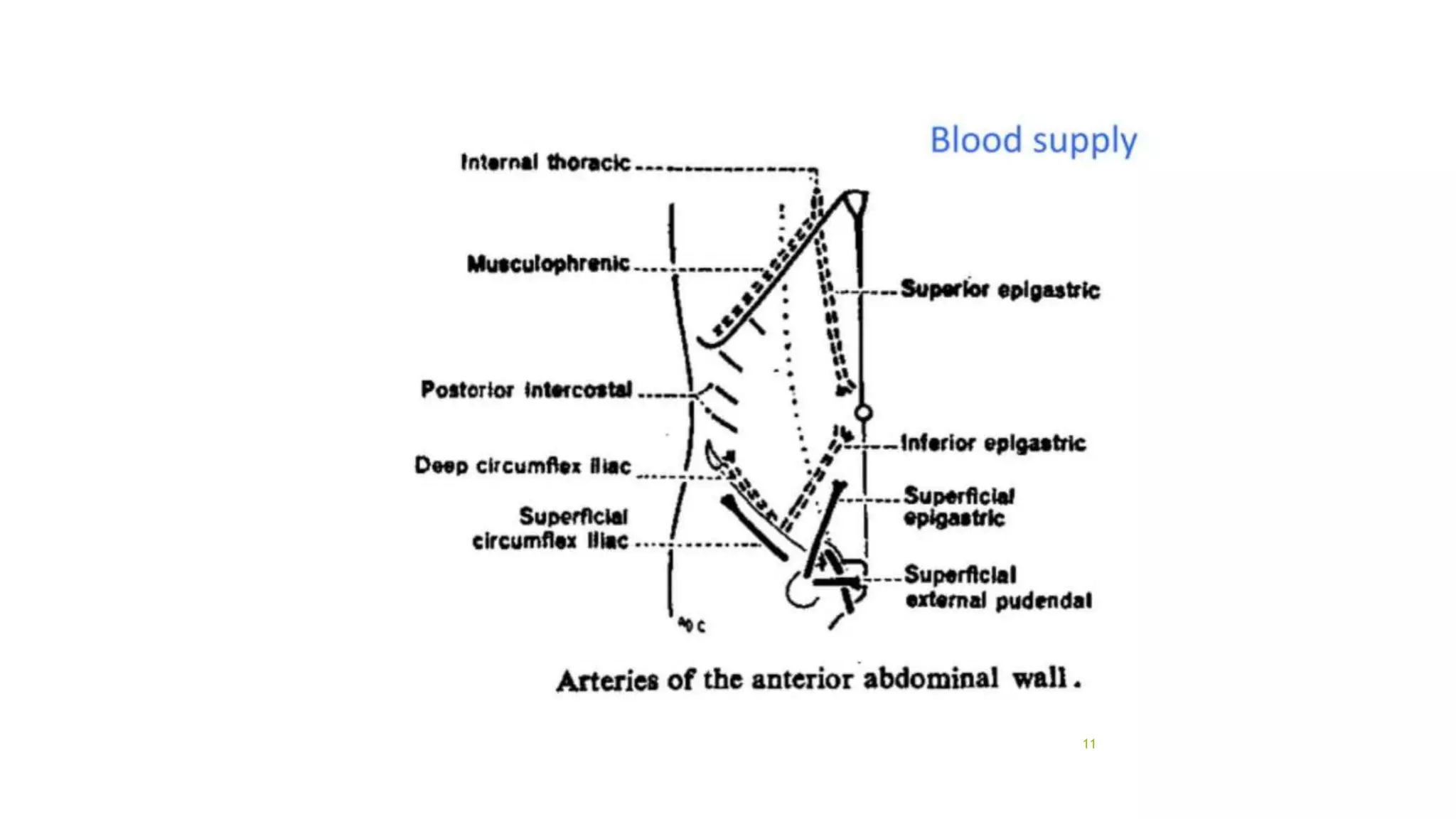 ABDOMINAL INCISIONS AND LAPAROTOMY-1.pptx