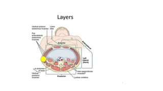 ABDOMINAL INCISIONS AND LAPAROTOMY-1.pptx
