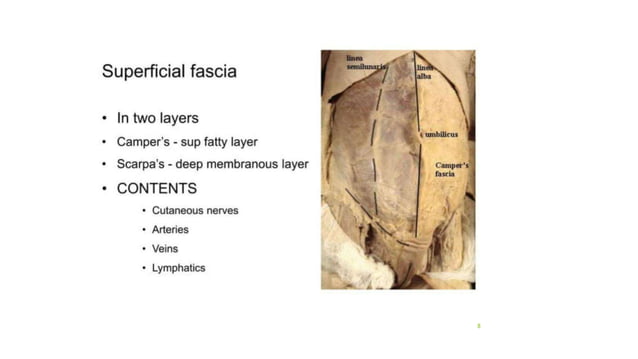 ABDOMINAL INCISIONS AND LAPAROTOMY-1.pptx