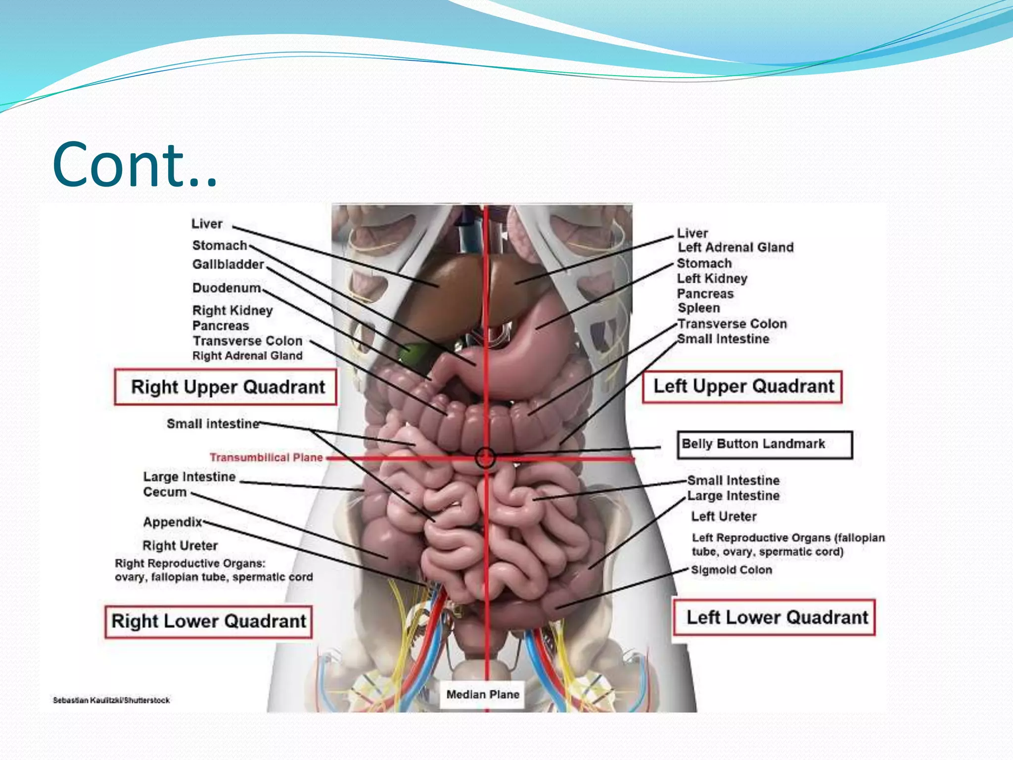 ABDOMINAL MASS.pptx