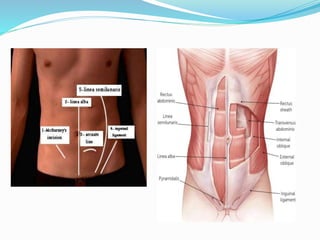 ABDOMINAL MASS.pptx