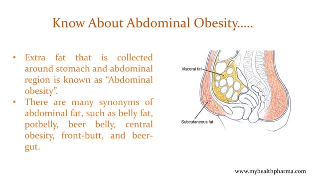 Abdominal Obesity - How To Treat it ? | PPT