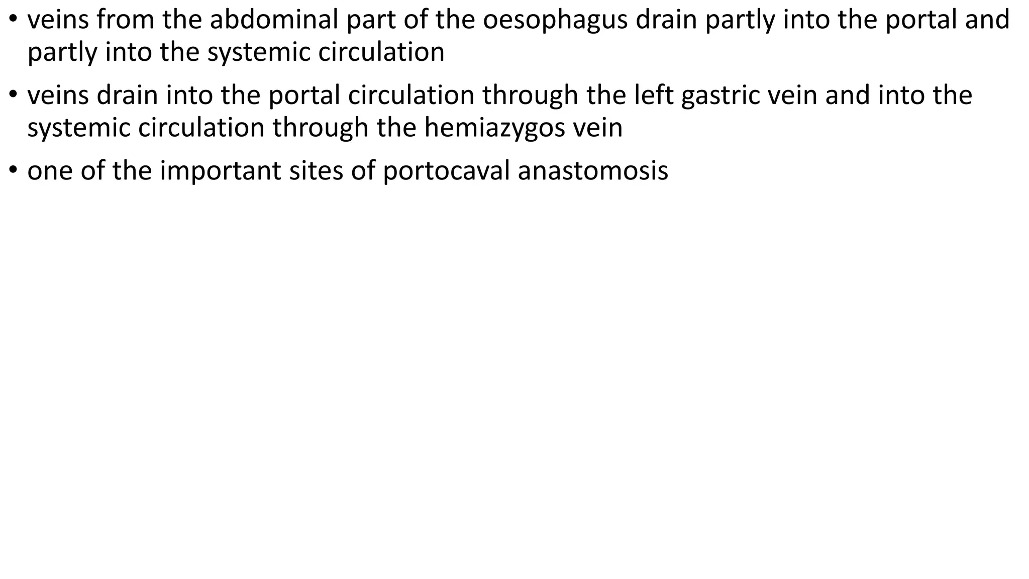 Abdominal Oesophagus- gastrointestinal system | PDF