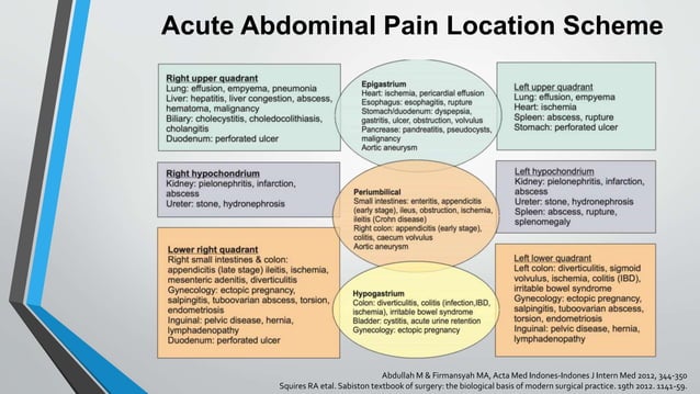 Abdominal Pain Diagnosis and Treatment Guidelines.pptx