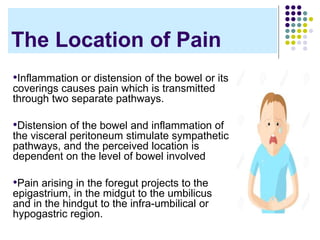 Abdominal pain in children - dr. Hermanto Sp.BA.pptx | Digestive ...