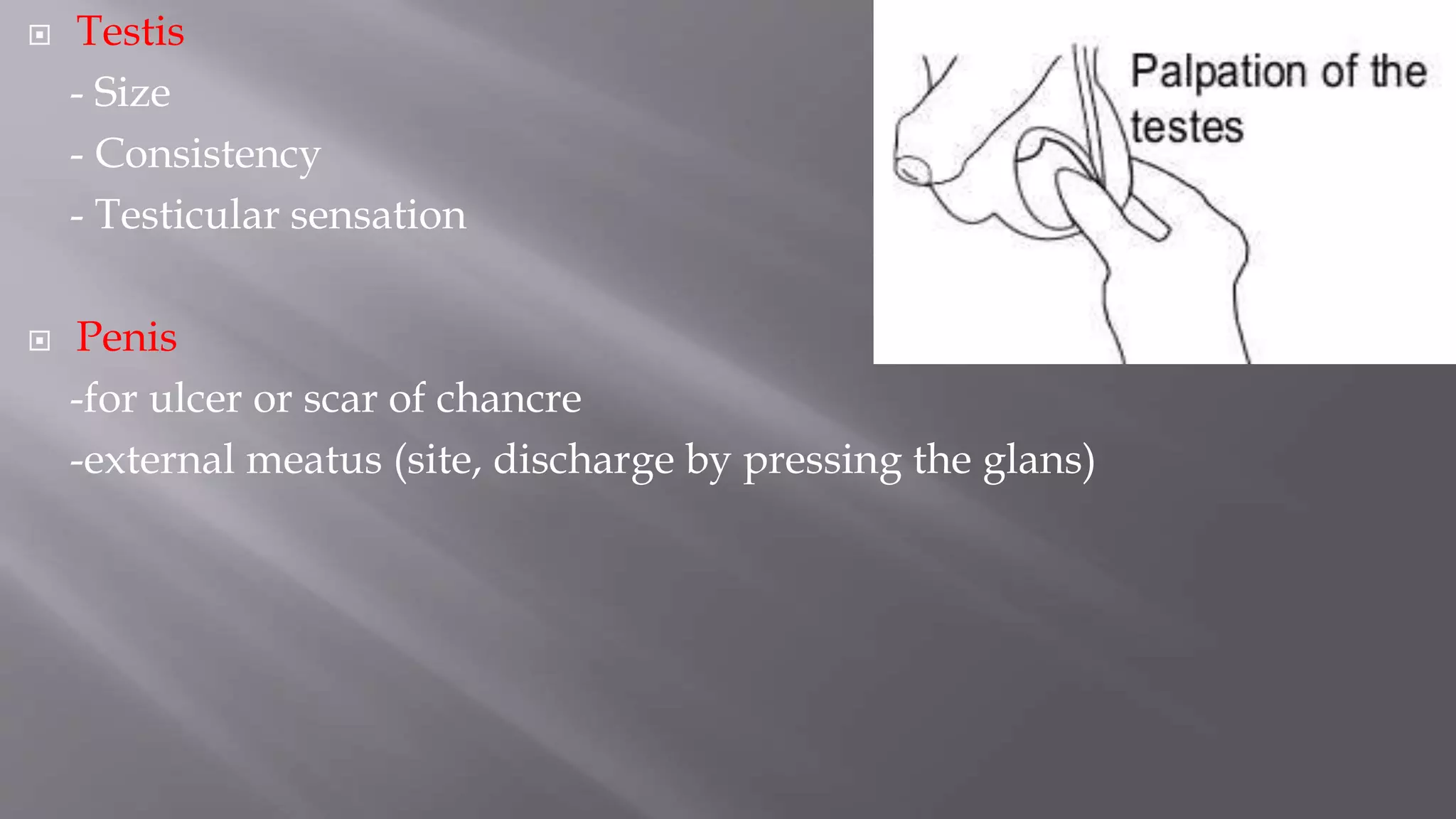abdominal palpation.pptx