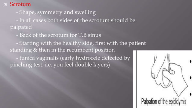 abdominal palpation.pptx
