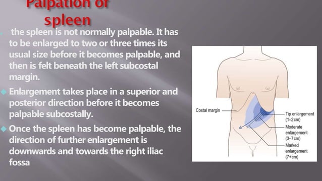 abdominal palpation.pptx