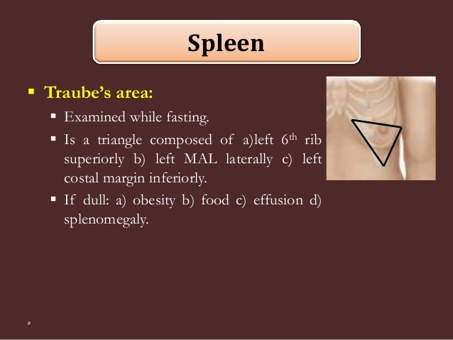 Abdominal percussion [2015]