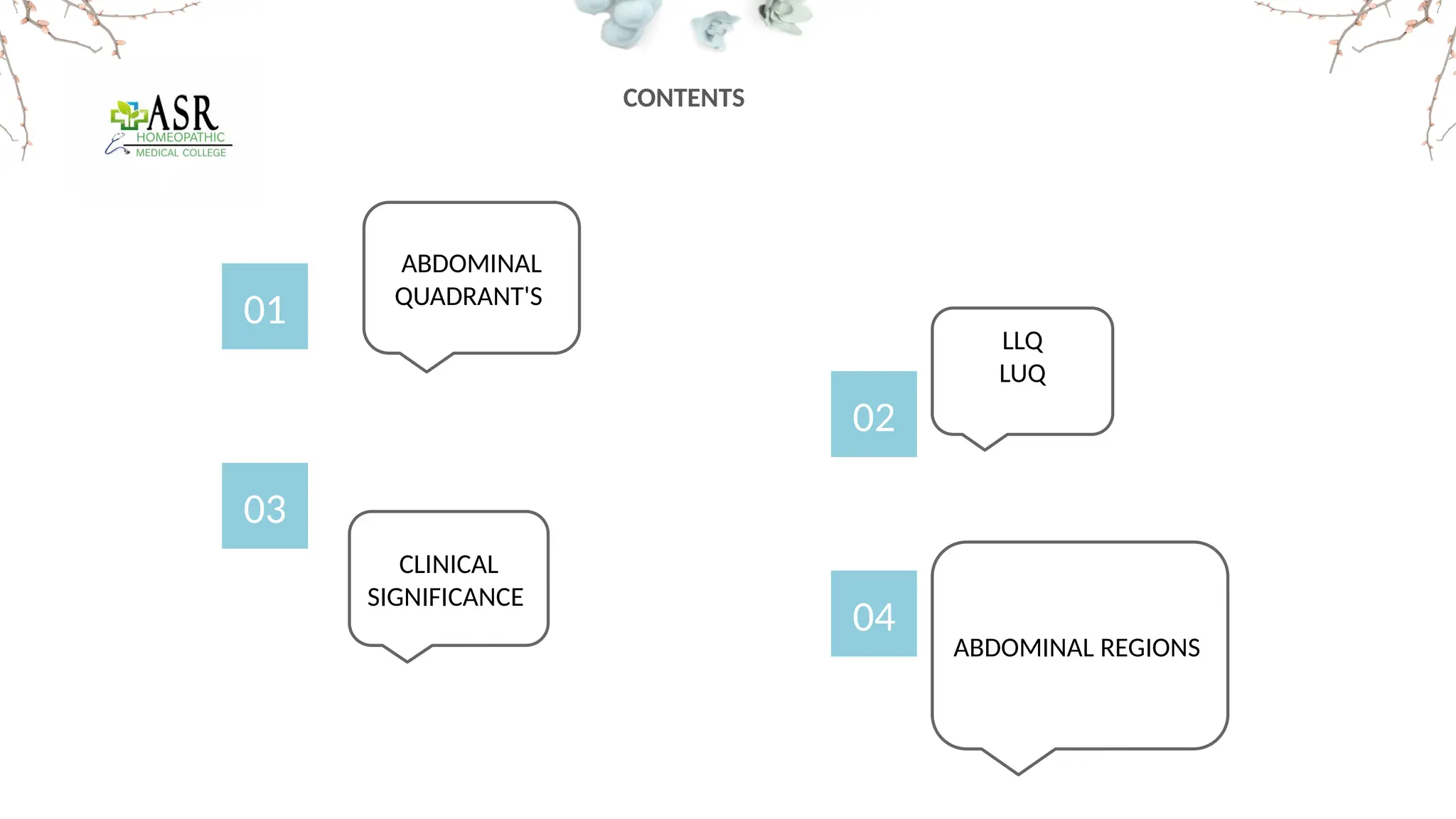 ABDOMINAL QUADRANT'S(Left), ABDOMINAL REGIONS BY POLINATI PRASUNA PRIYA ...