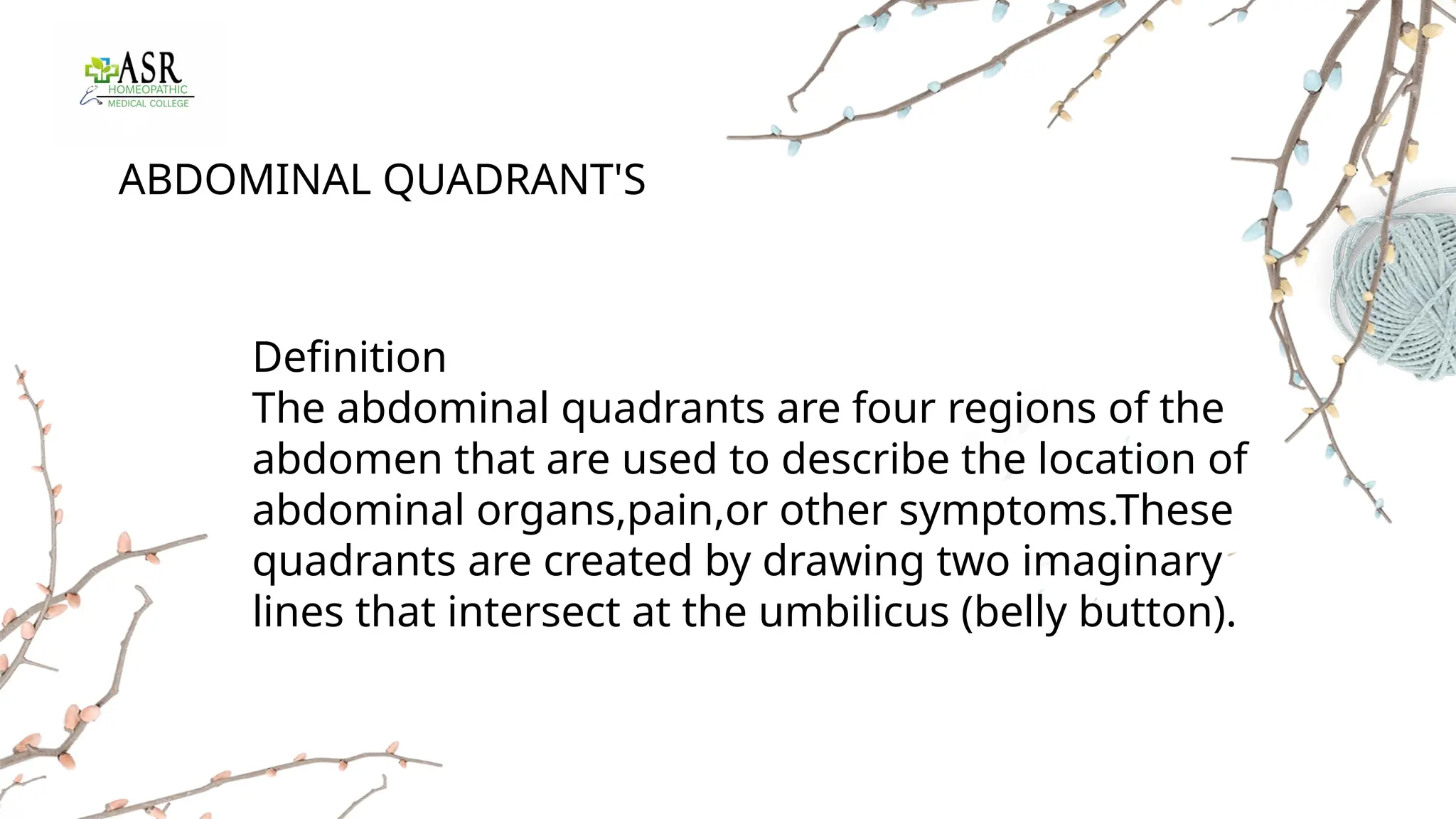 ABDOMINAL QUADRANT'S(Left), ABDOMINAL REGIONS BY POLINATI PRASUNA PRIYA ...