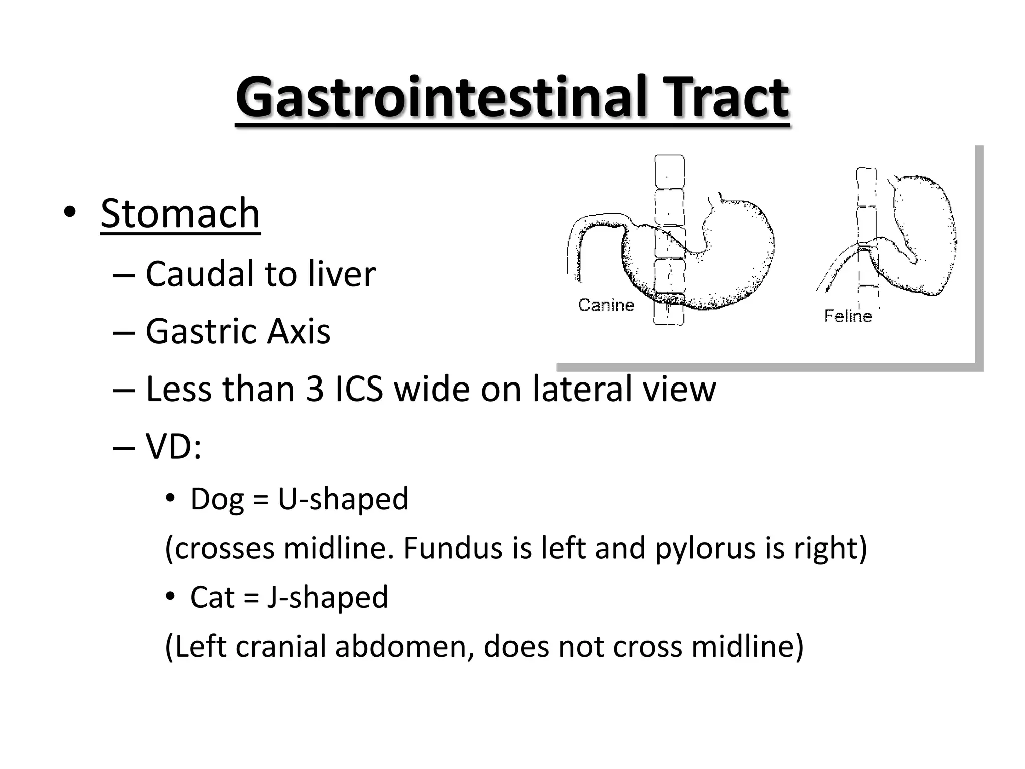 abdominal radiography with its pectoral demonstration.pptx