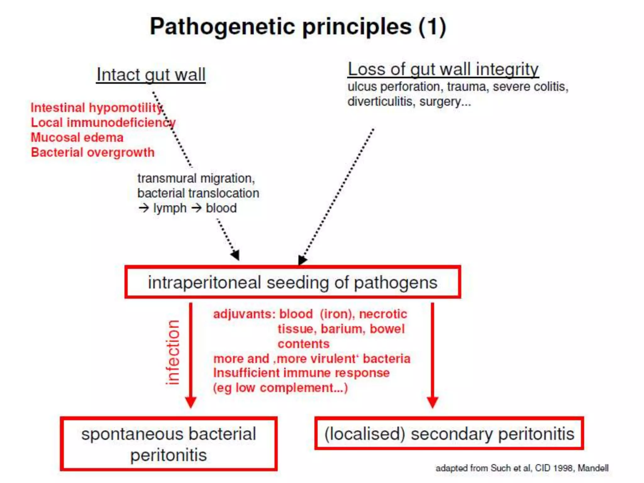 Abdominal Sepsis and Peritonitis | PPTX