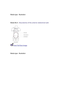 Abdominal stab wound exploration | DOC