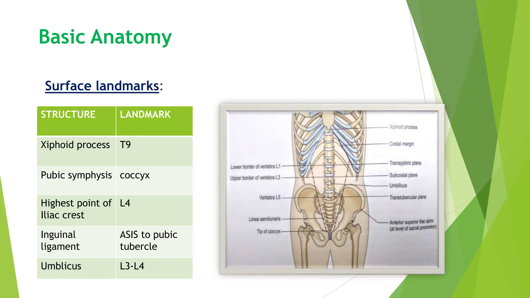 Abdominal surgery.pptx