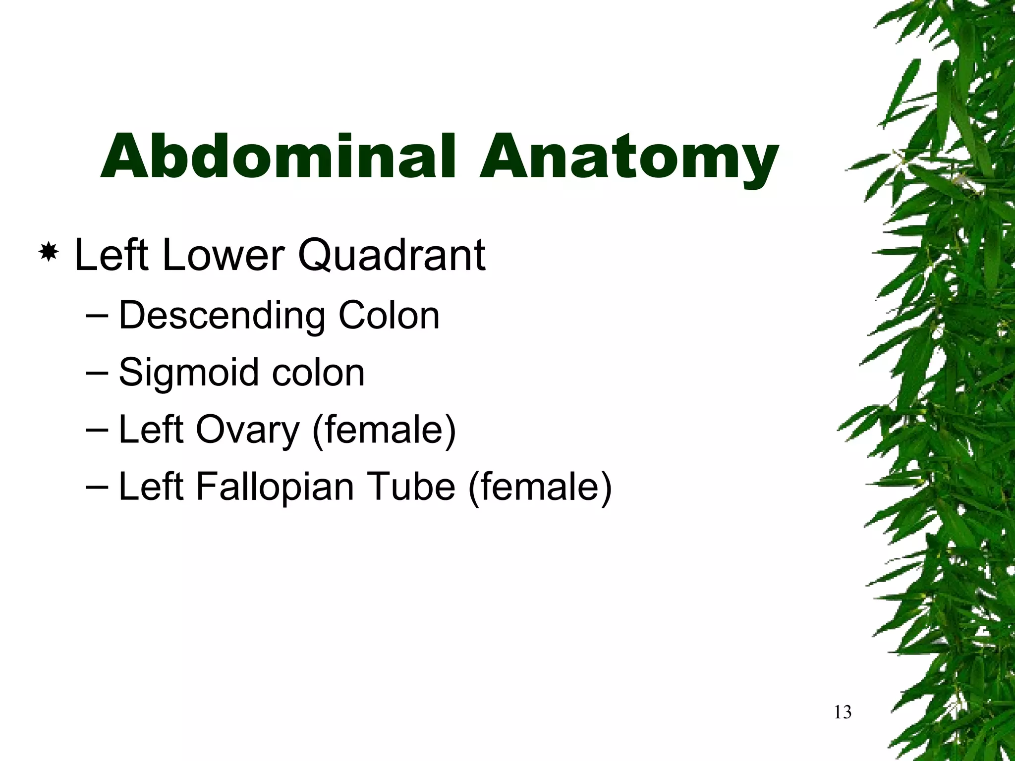 Abdominal trauma | PPT