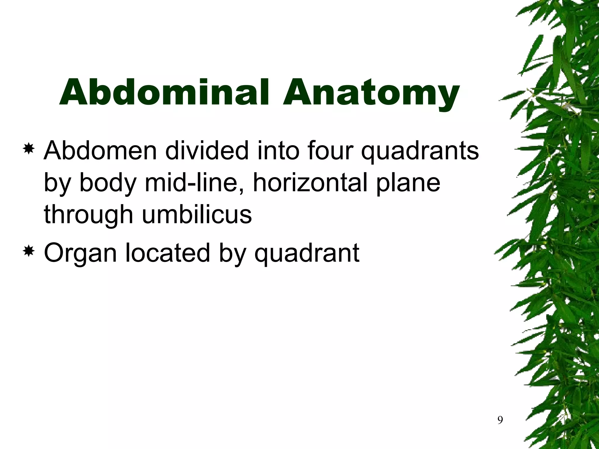 Abdominal trauma | PPT