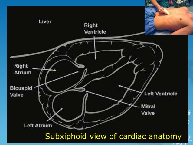 Abdominal trauma