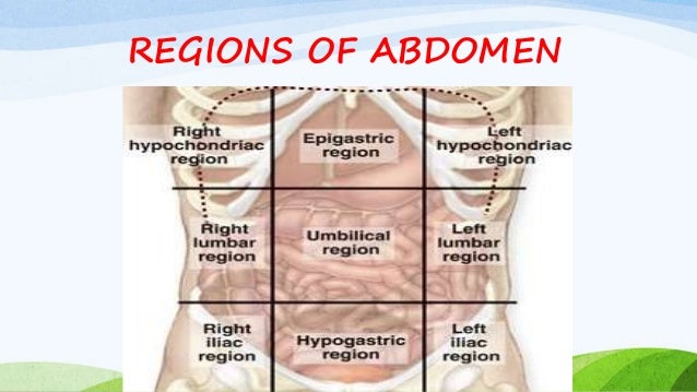 Signs of abdominal bleeding from trauma - atomicmens
