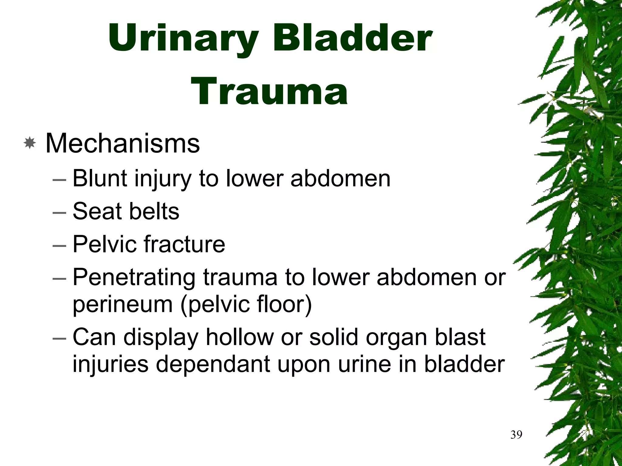 Abdominal Trauma | PPT