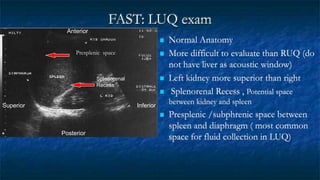 Abdominal Trauma and FAST scan (Dr. Derhim Afaqeeh , Yemen ) | PPTX
