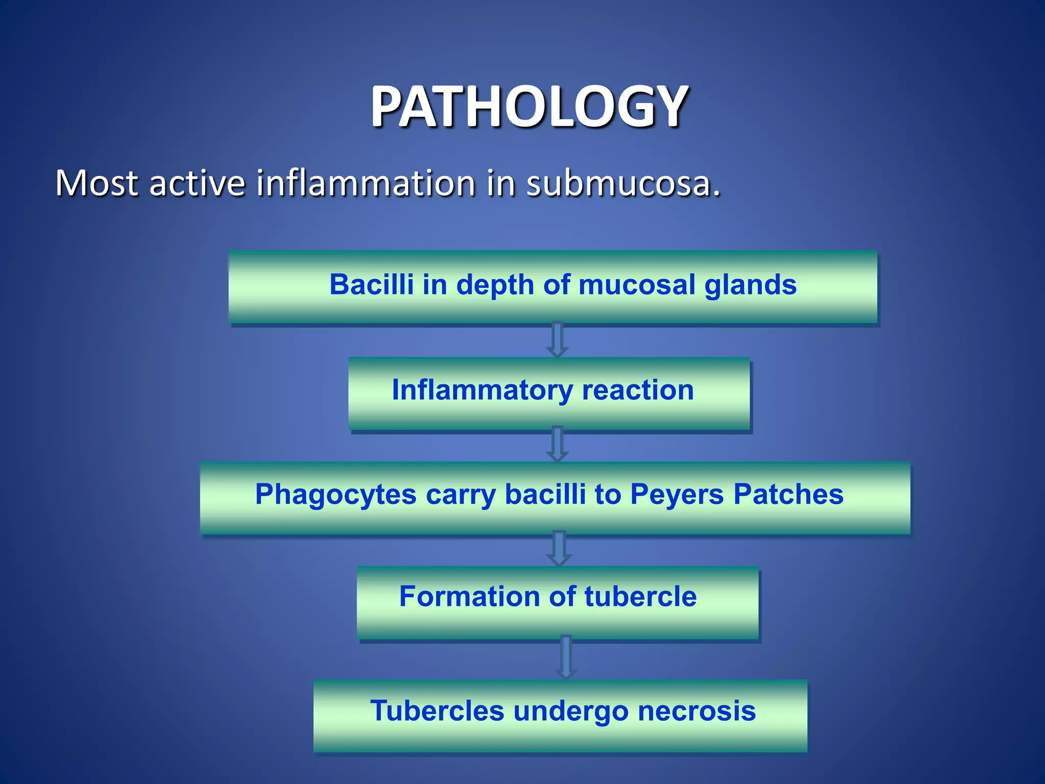 Abdominal tuberculosis dr syed obaid | PPT