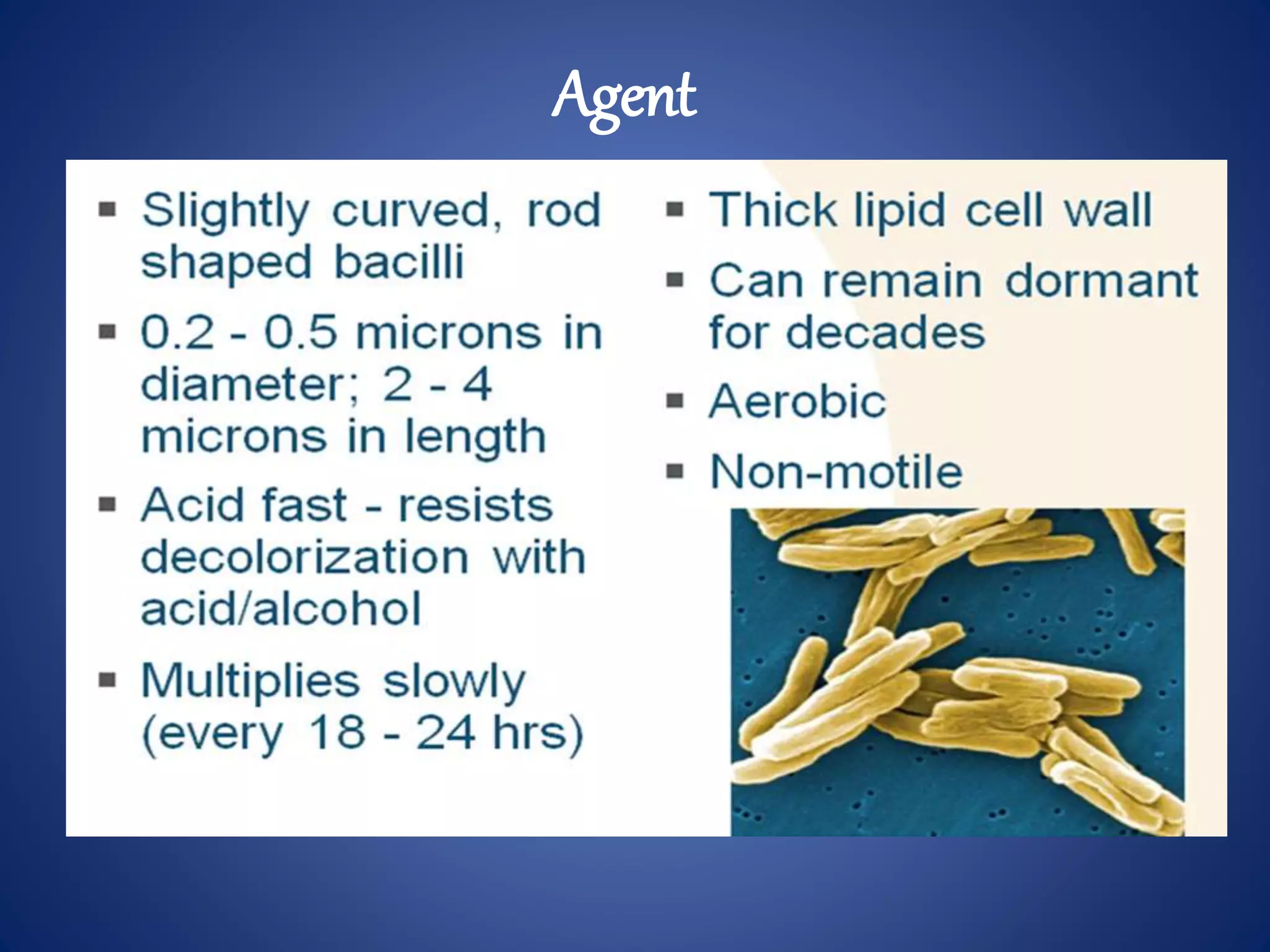 Abdominal tuberculosis dr syed obaid | PPTX
