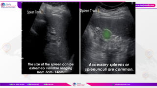 Abdominal Ultrsound - Session 5 - Dr Vibhu -Ultrasonography of the ...