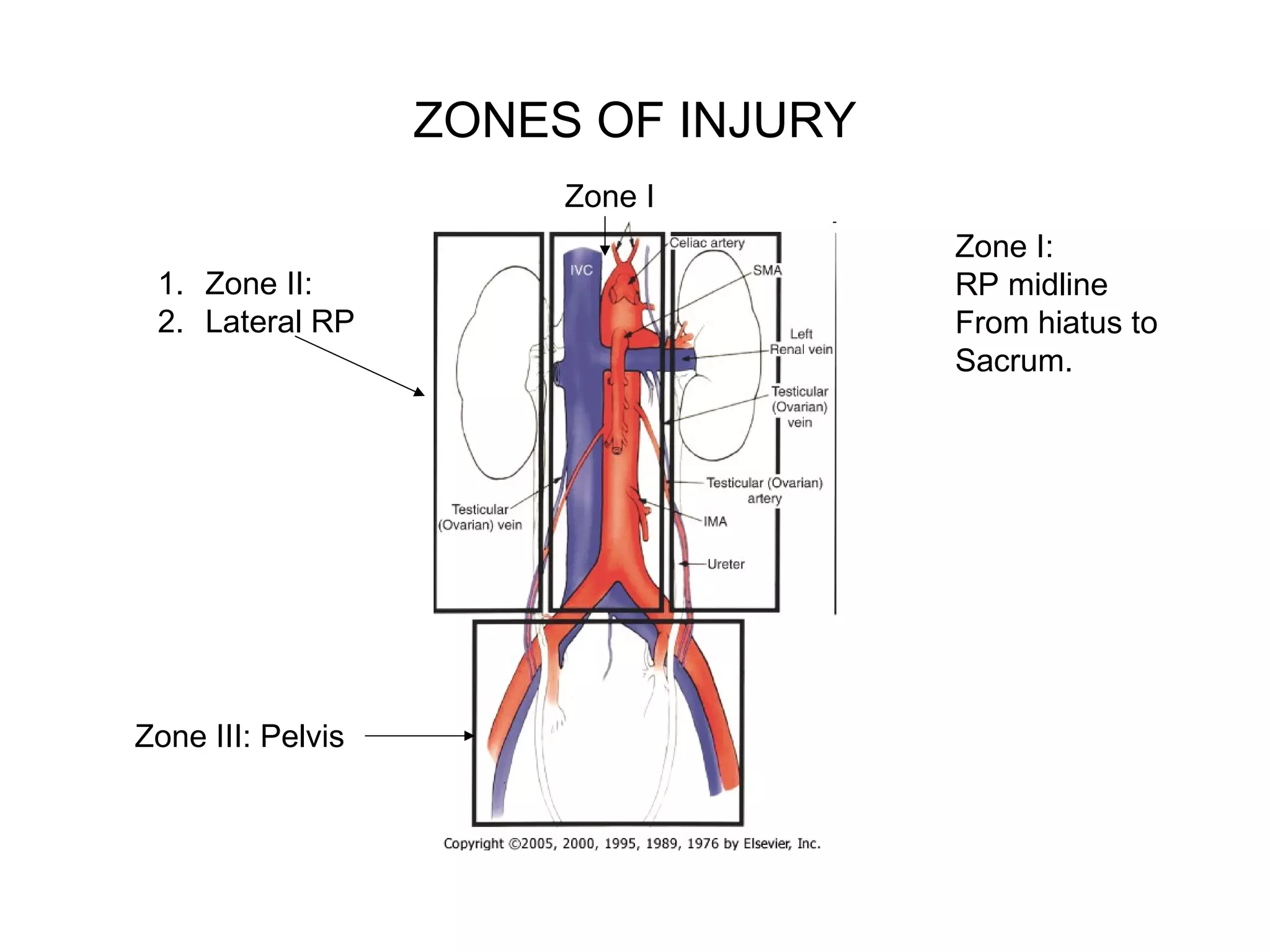 Abdominal vascular injuries | PPT