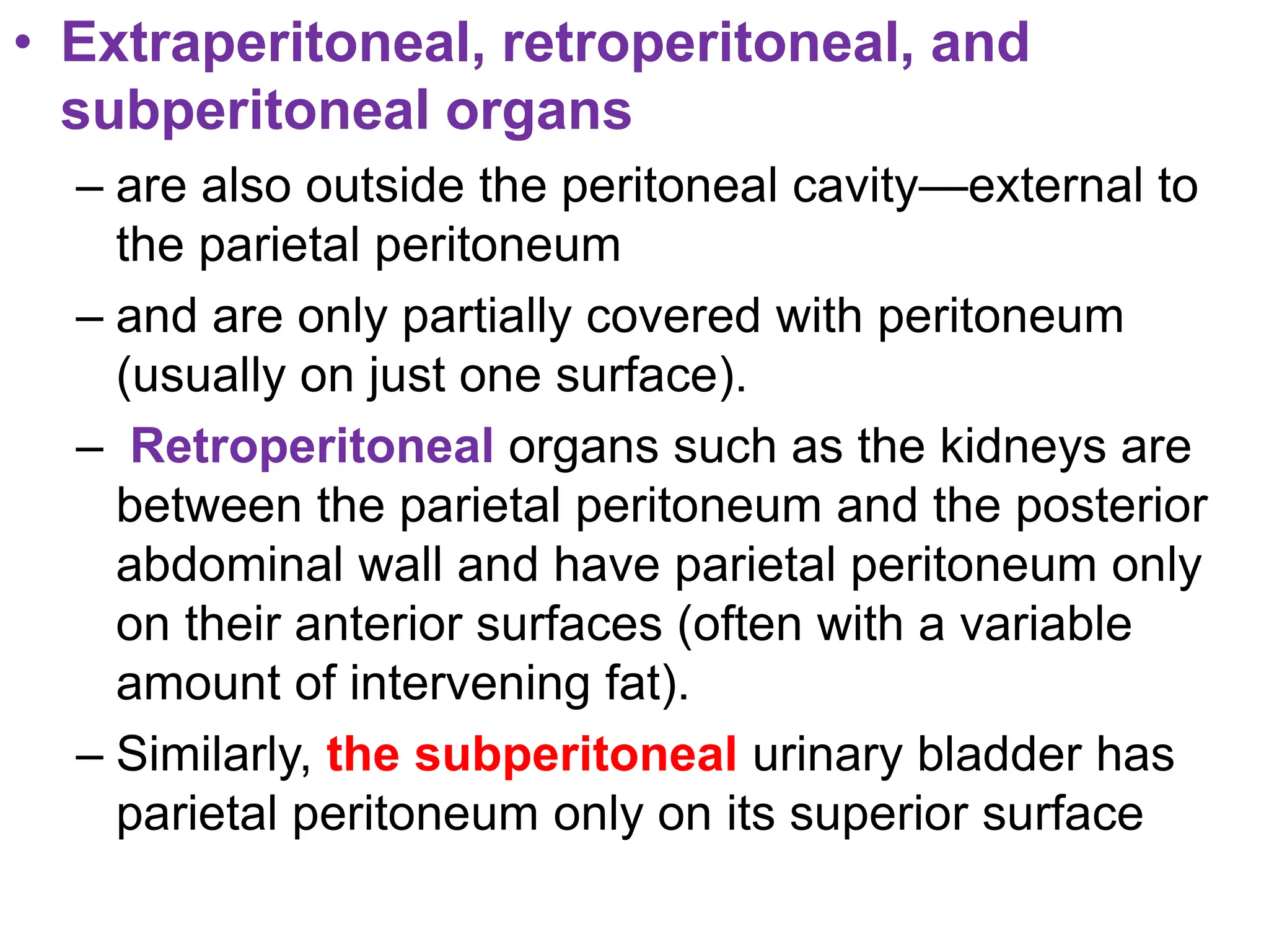 abdominal visceraWU(0).pptx
