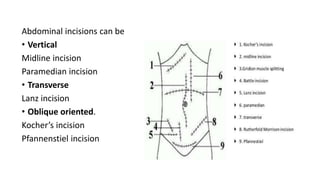 Abdominal Wall.pptx | Death, Injury, or Military Conflict | Sensitive Topics