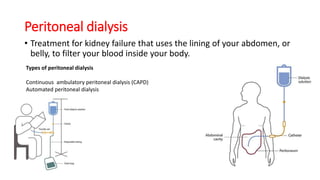 Abdominal Wall.pptx | Death, Injury, or Military Conflict | Sensitive ...