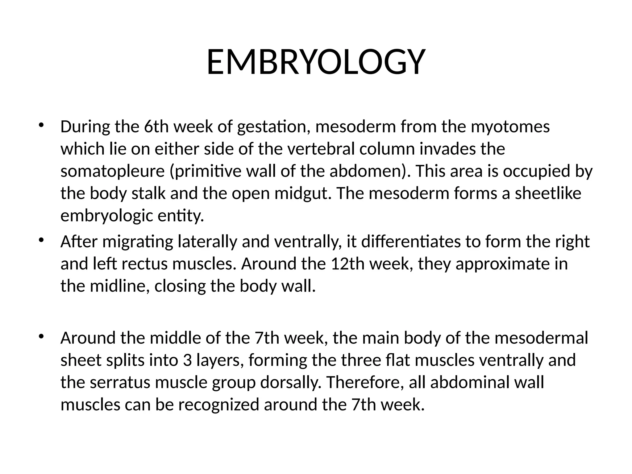 ABDOMINAL WALL anatomy, anatomy of the abdominal wall | PPTX