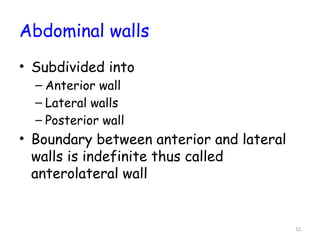 Abdominal wall.pptx and anatomy slides ep | PPTX